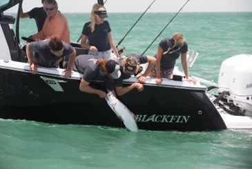 The Ultimate Guide to Choosing the Perfect Fishing Boat for Your ...